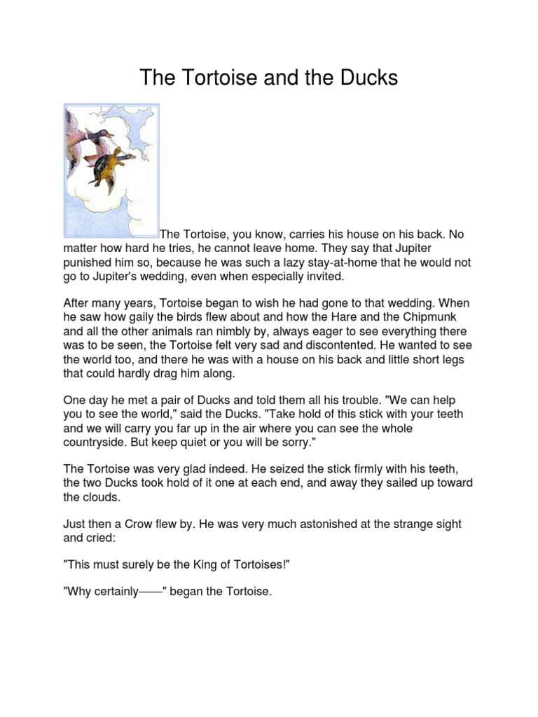 The Tortoise and The Ducks | PDF