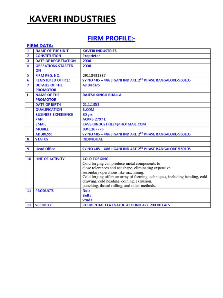 Firm Profile Format | PDF | Forging | Screw