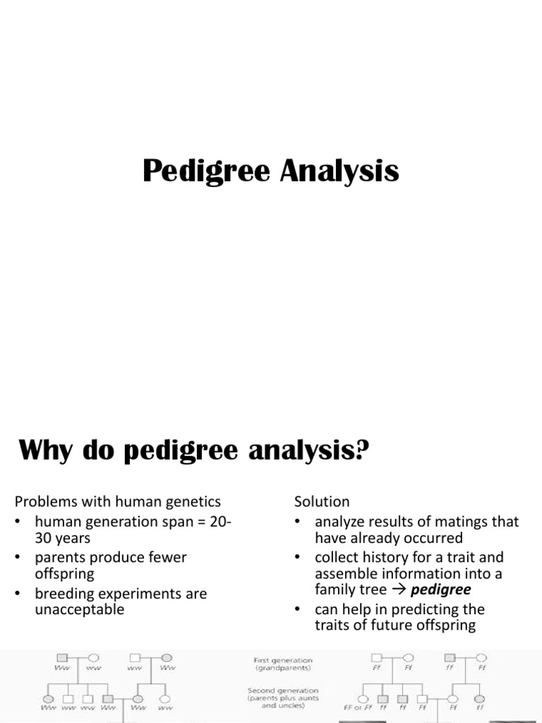 04 Pedigree Analysis | PDF | Dominance (Genetics) | Medical Genetics