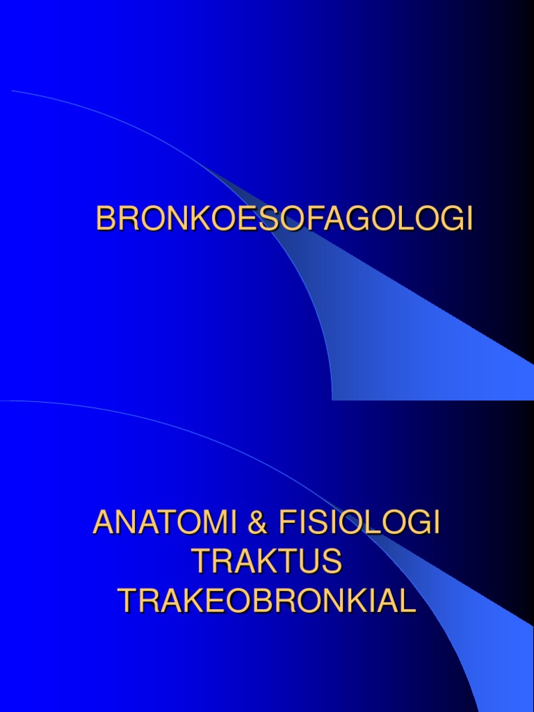 Anatomi Bronkus | PDF