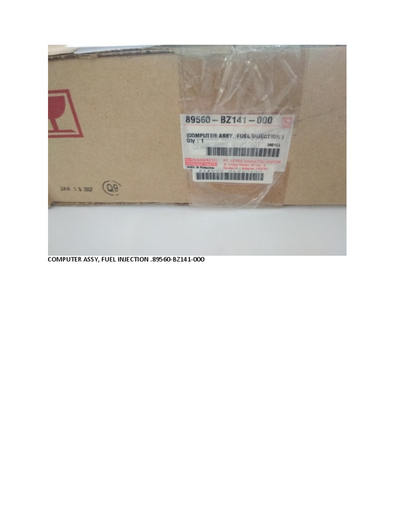 Computer Assy Feul Injection | PDF