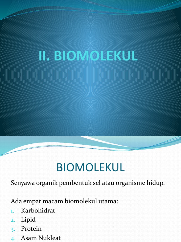 Biomolekul | PDF