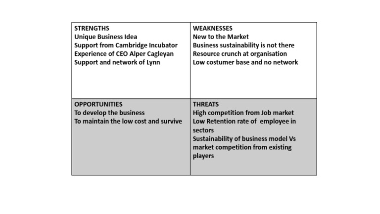 Swot | PDF | Business | Finance & Money Management