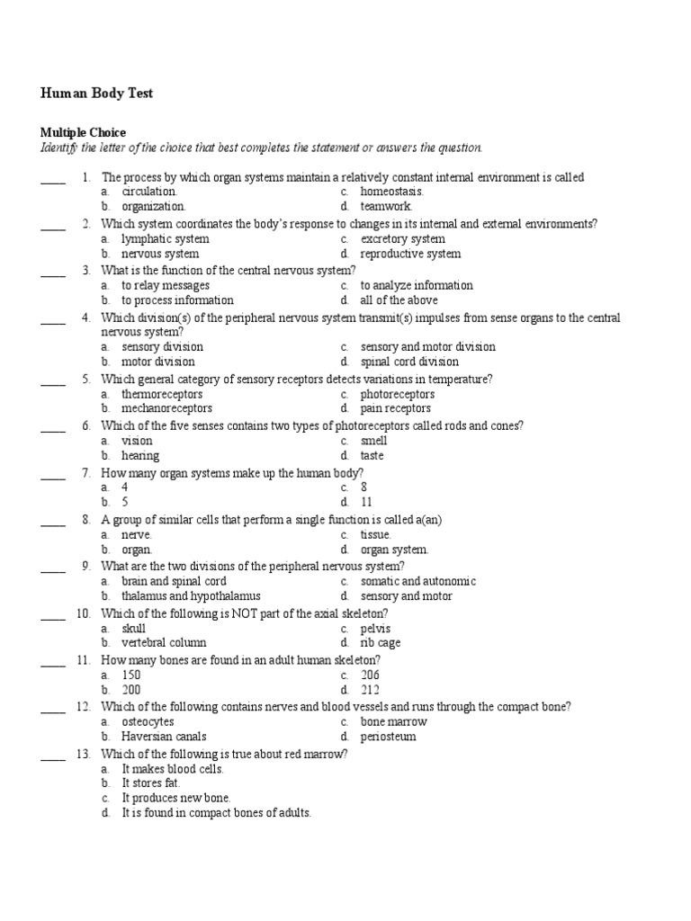 Human Body Test: Multiple Choice | PDF | Human Body | Endocrine System