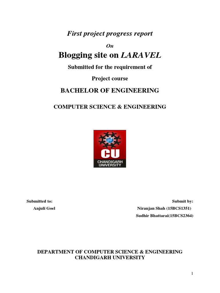 First Project Progress Report | PDF | Websites | User (Computing)