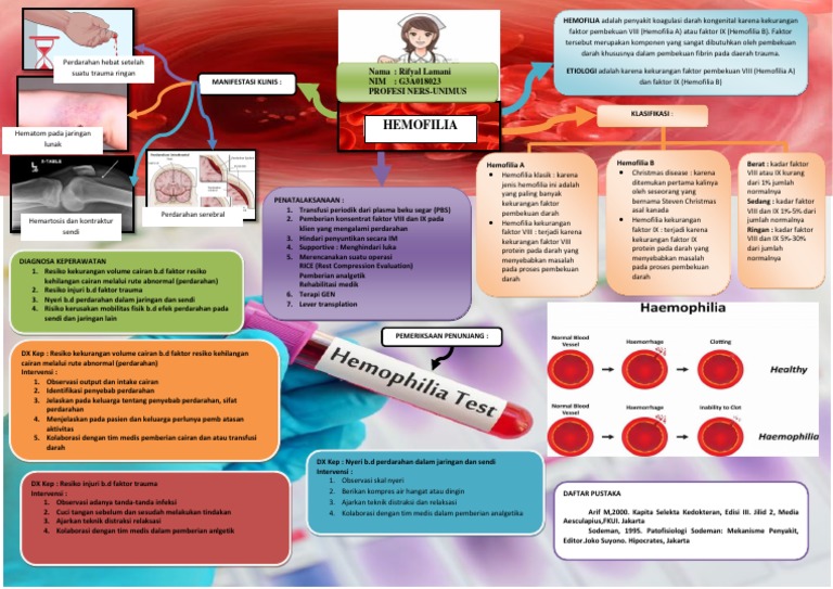 Mind Map Hemofilia | PDF