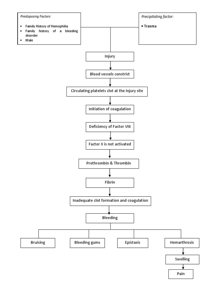 Family History of Hemophilia Family History of A Bleeding Disorder Male ...