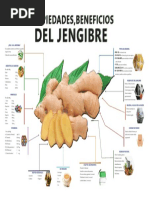 Las 10 Plantas de La Sierra Peruana Más Comunes | PDF | Aguacate | Cebada