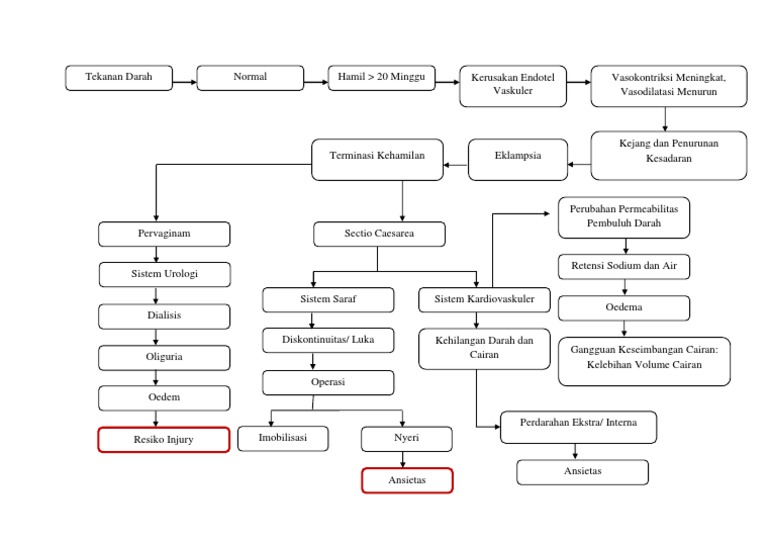 Pathway Eklampsia | PDF
