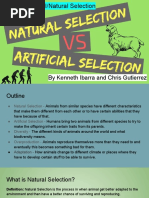 Artificial Selection Definition