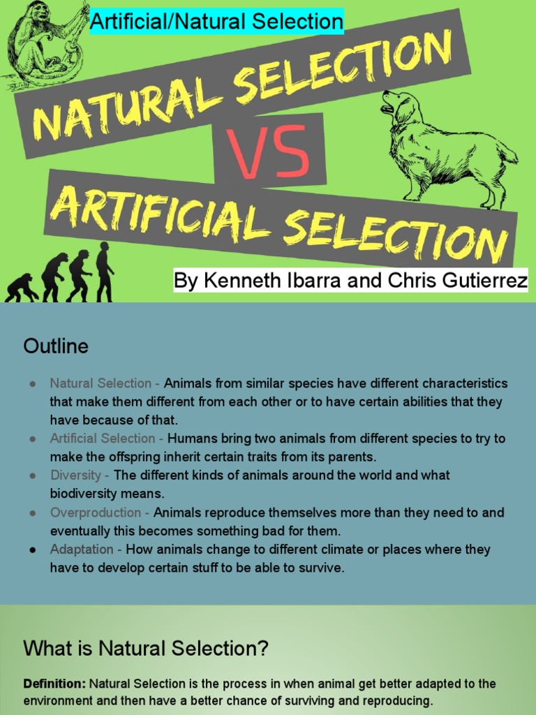 Artificial Natural Selection | PDF | Adaptation | Biodiversity