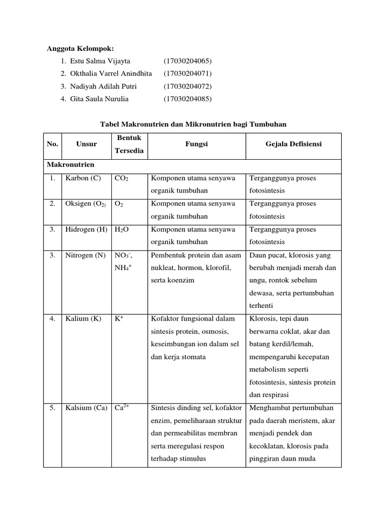 Tabel Makronutrien Dan Mikronutrien Bagi Tumbuhan | PDF