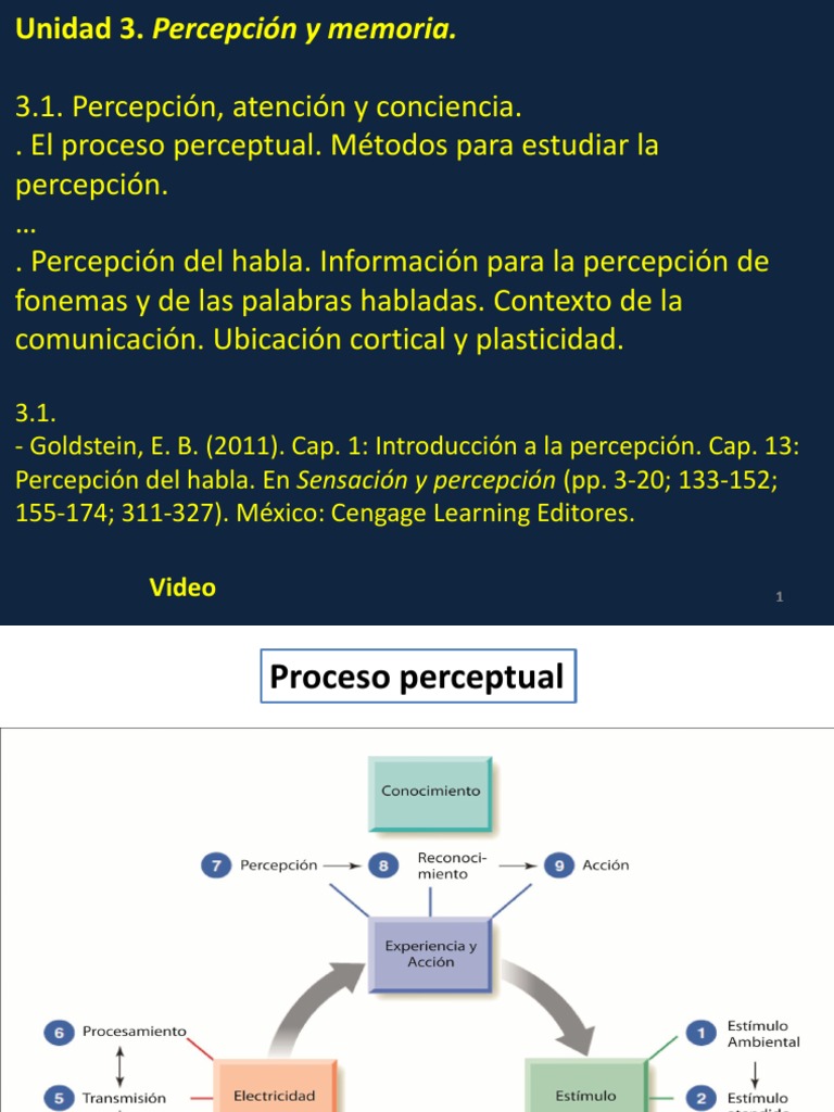 Teorico Percepcion. Goldstein 1 | PDF | Percepción | Procesos mentales