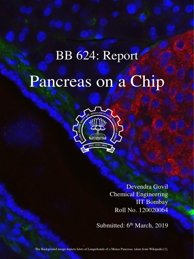 Pancreas on a Chip: Report on Structure, Function and Disease Modeling ...