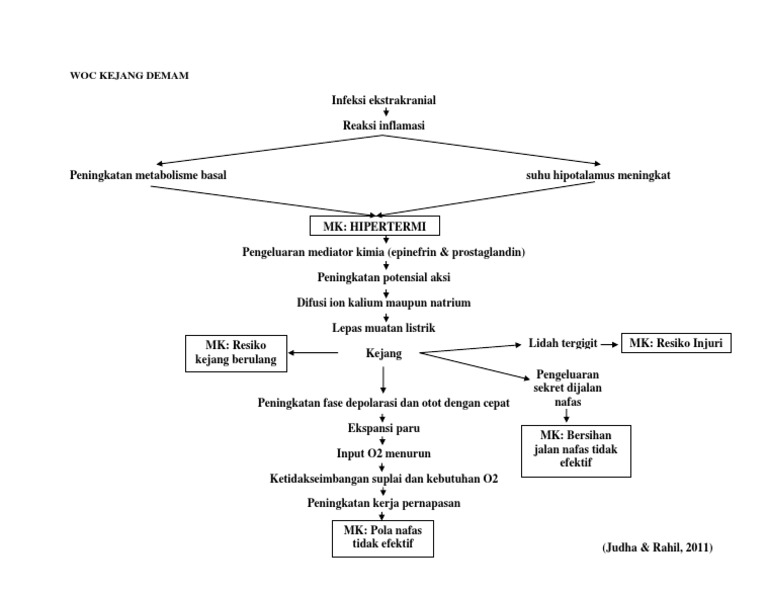 Woc Kejang Demam | PDF