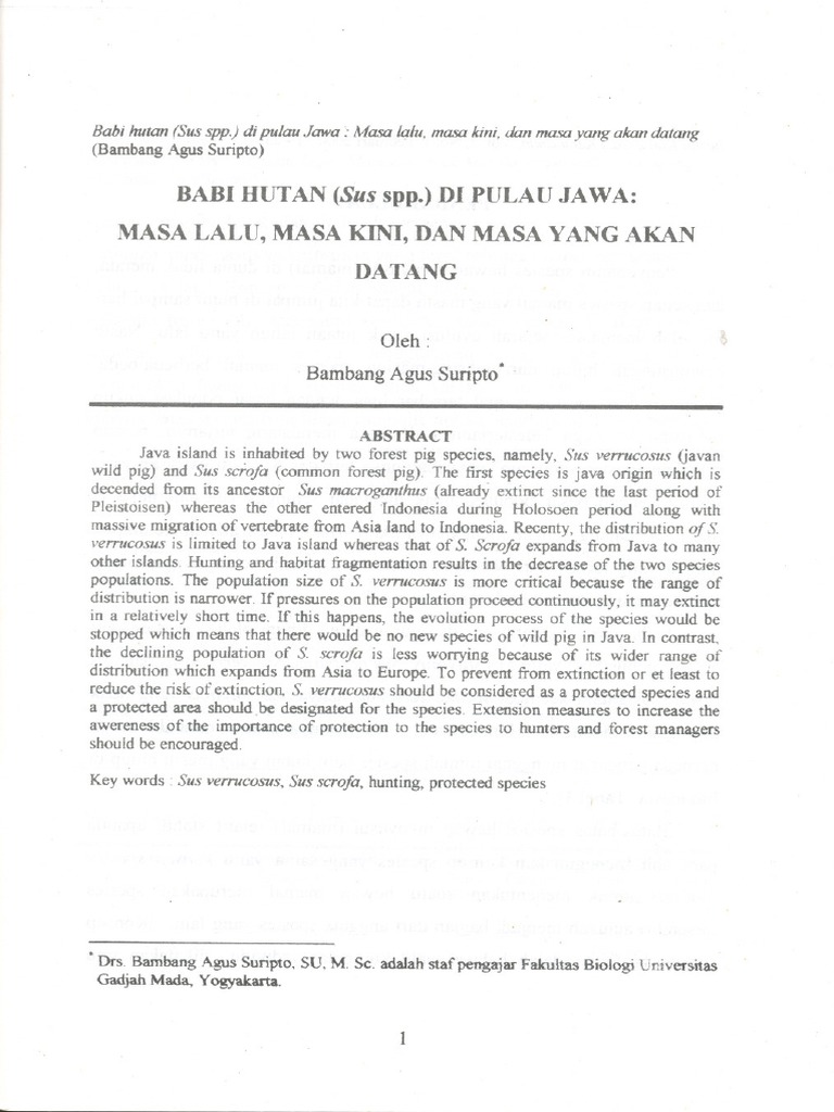 Khinzir | PDF | Pig | Animals And Humans