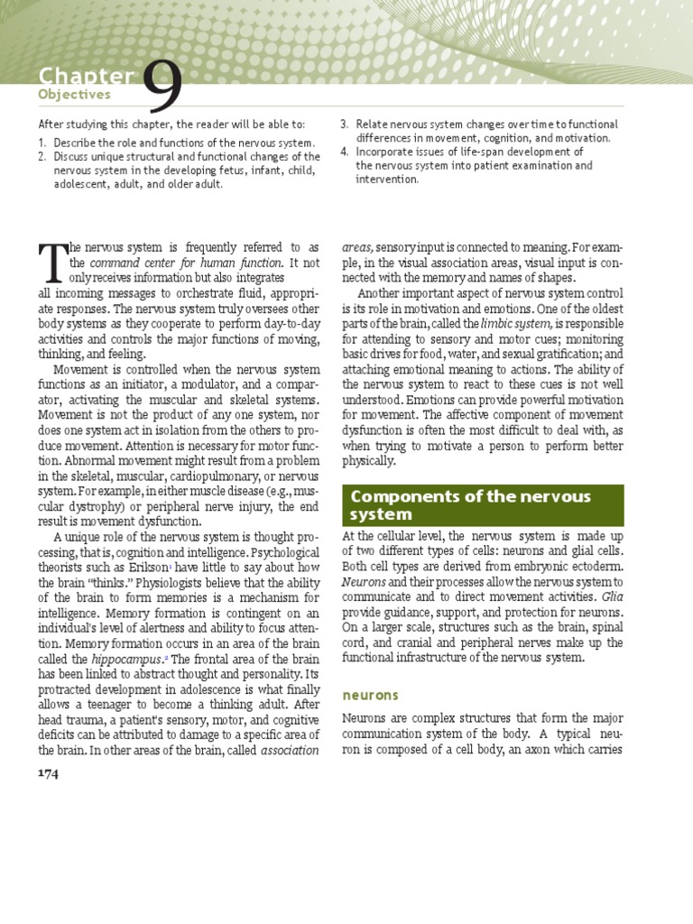IPG 9 - Nervous System Changes | PDF | Autonomic Nervous System | Neuron