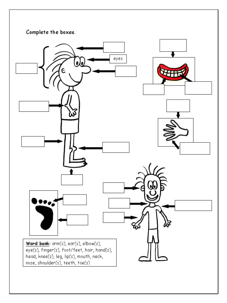 Body Parts Word Bank Activity | PDF