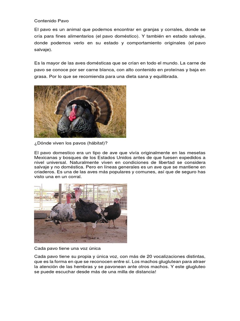 Contenido Pavo | PDF | Aves | Columbidae