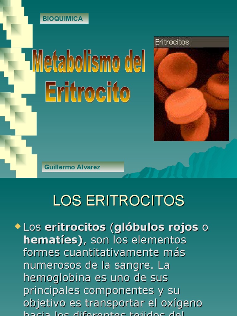 Conentracion de Glucosa y Eritrocito | PDF | Glóbulo rojo | Diabetes ...