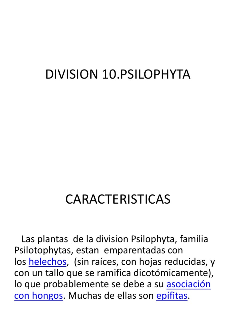 Características y reproducción de las plantas de la división Psilophyta ...