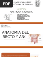 Anatomia Exposicion Recto y Ano | PDF | Recto | Pelvis