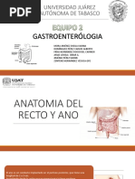 Anatomia de Ano y Recto PDF | PDF | Recto | Intestino grueso