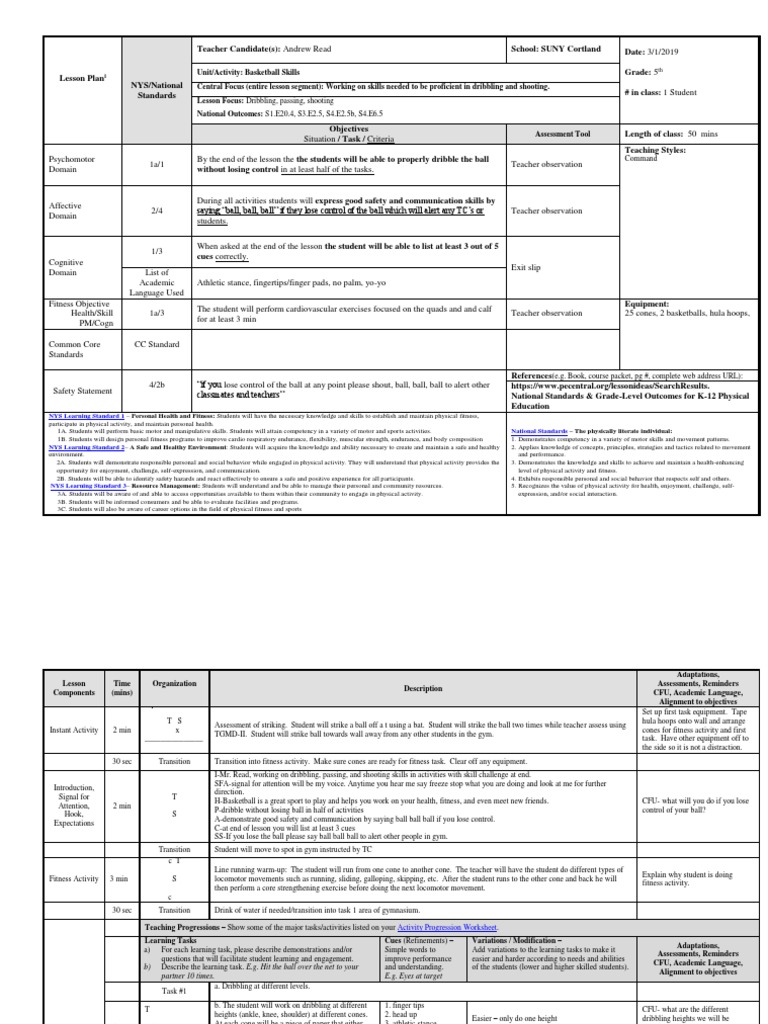Command: NYS Learning Standard 1 National Standards | PDF | Learning ...