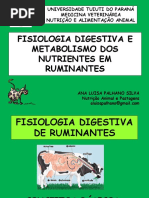 Mat. Estudos - Microbiota Ruminal - Nutrição de Ruminantes | PDF ...
