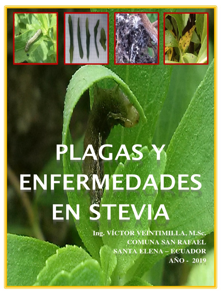 Plagas y Enfermedades en Stevia PDF | PDF | Hoja | Hormiga