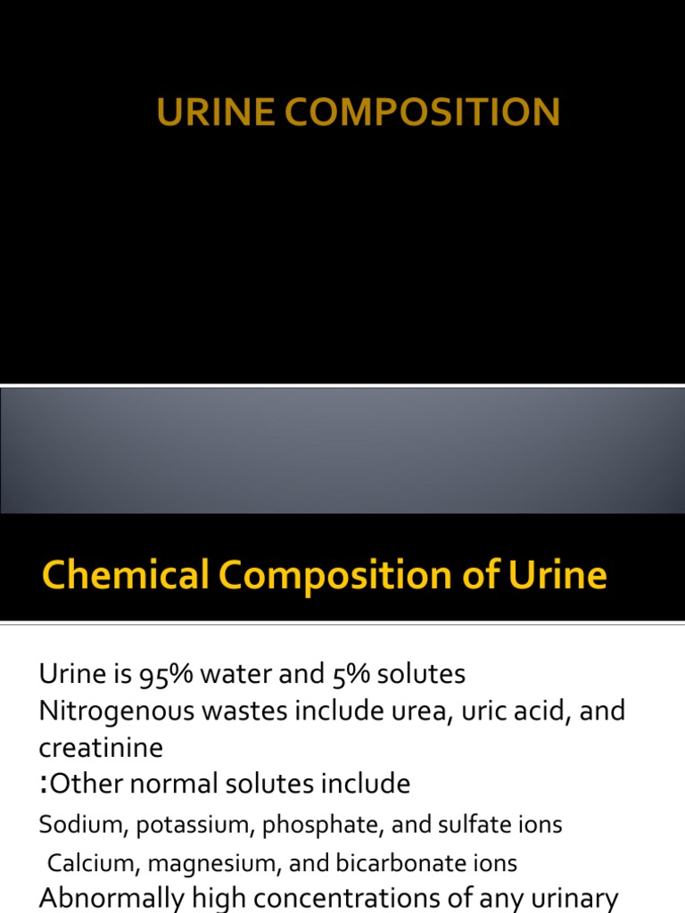 KP 1.4.6.6 Komposisi Urine | PDF | Kidney | Urine