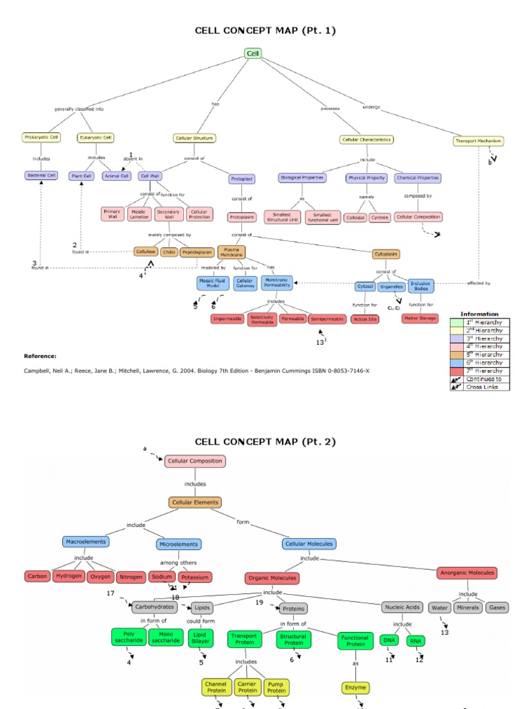 Cell Concept Map | Download Free PDF | Nature