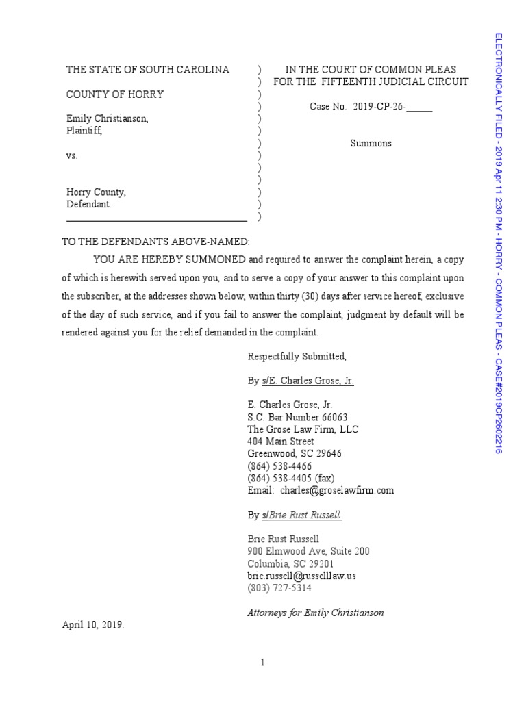 Emily Christianson vs. Horry County | PDF | Freedom Of Information Act ...