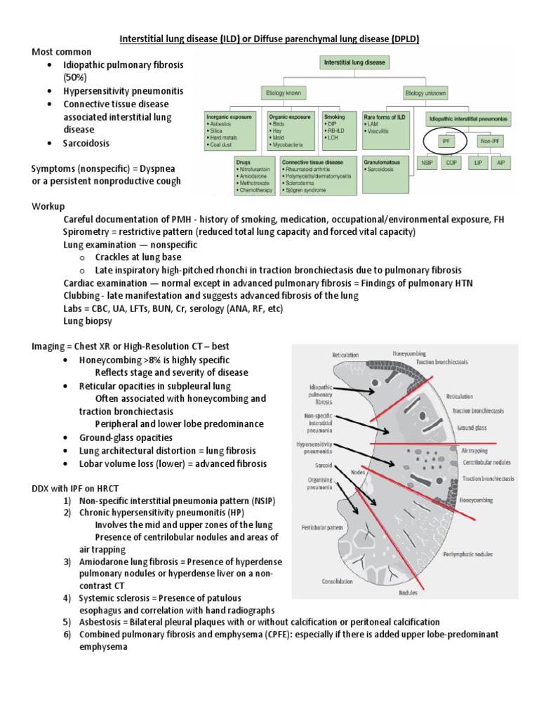 Interstitial Lung Disease Overview and Diagnosis | PDF