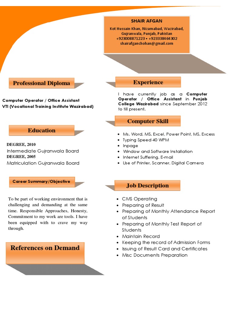 Professional Diploma Experience: References On Demand | PDF