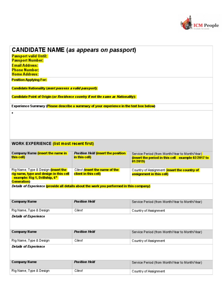 ICM CV Template | PDF