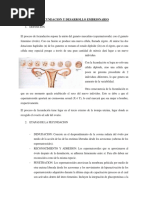 Atlas Del Desarrollo Embrionario Del Perro Embriologia - Compress | PDF ...