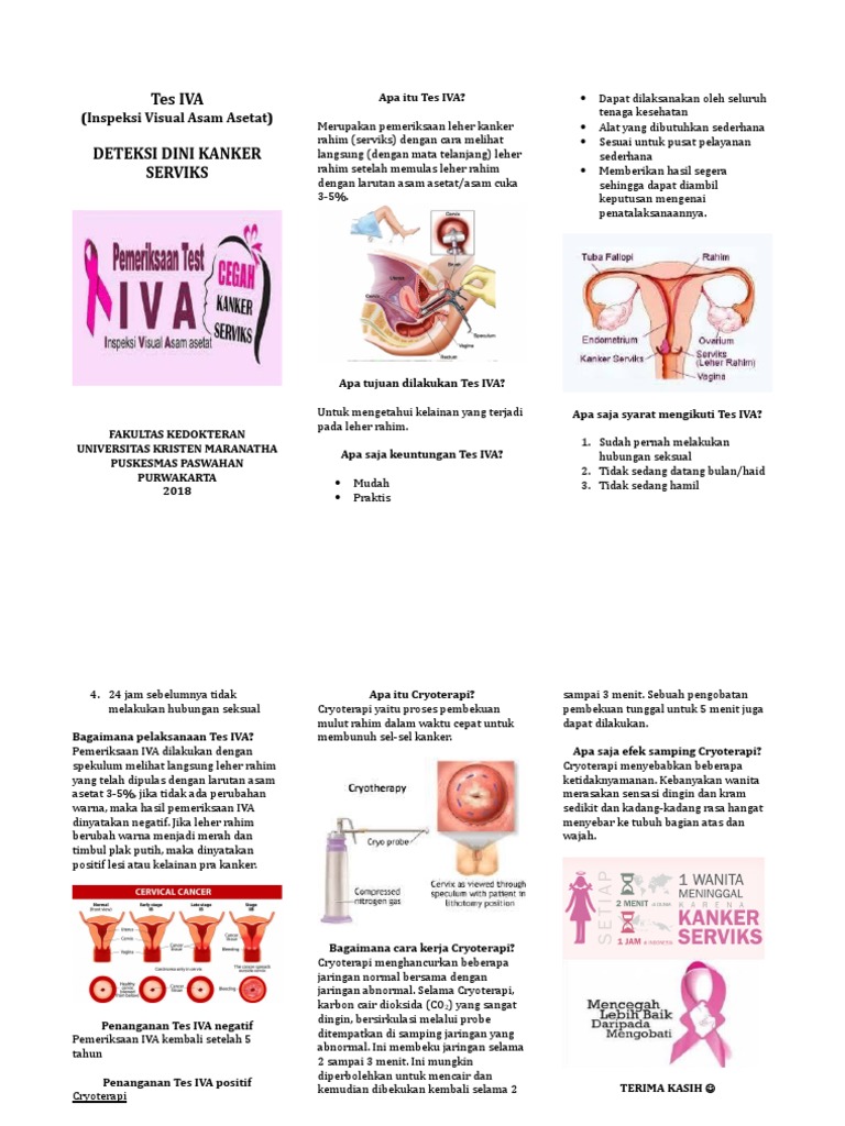 Leaflet IVA Test | PDF