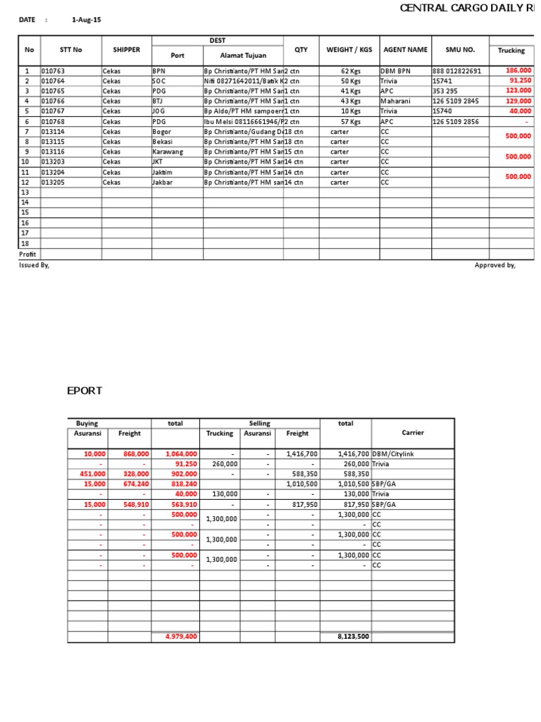 Central Cargo Daily Report Summary | PDF | Cargo | Industries