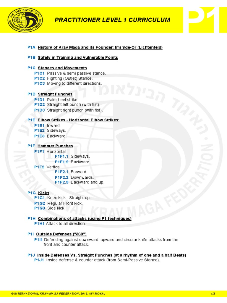 Laying the Foundation: An Introduction to Krav Maga Techniques and Tactics for Practitioner ...