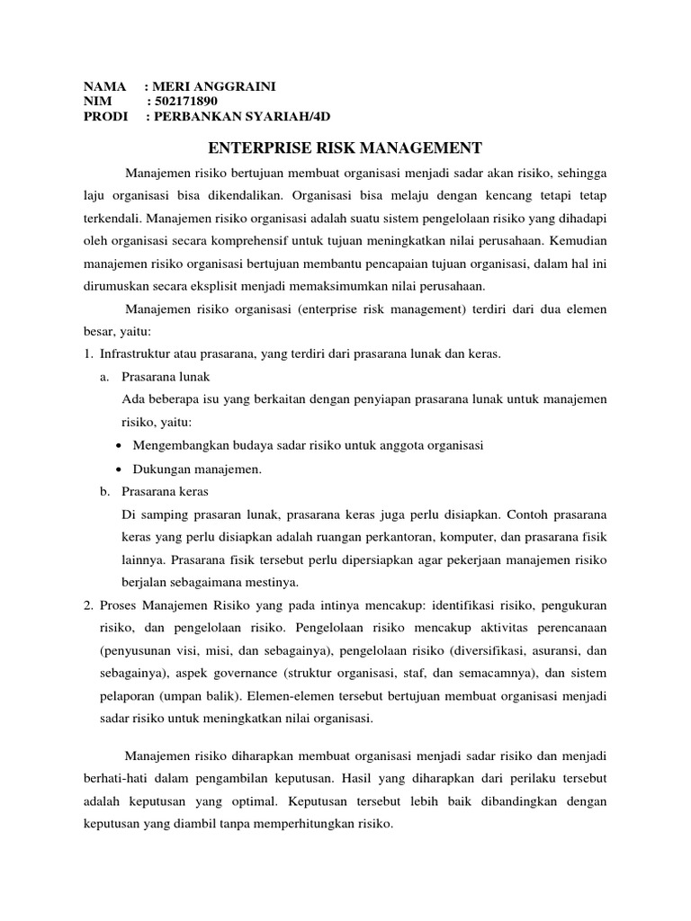 Enterprise Risk Management Pdf