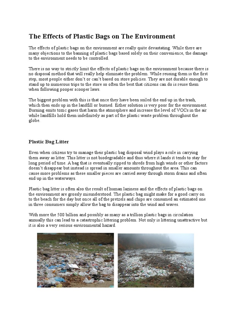 The Effects of Plastic Bags On The Environment | PDF | Recycling | Plastic