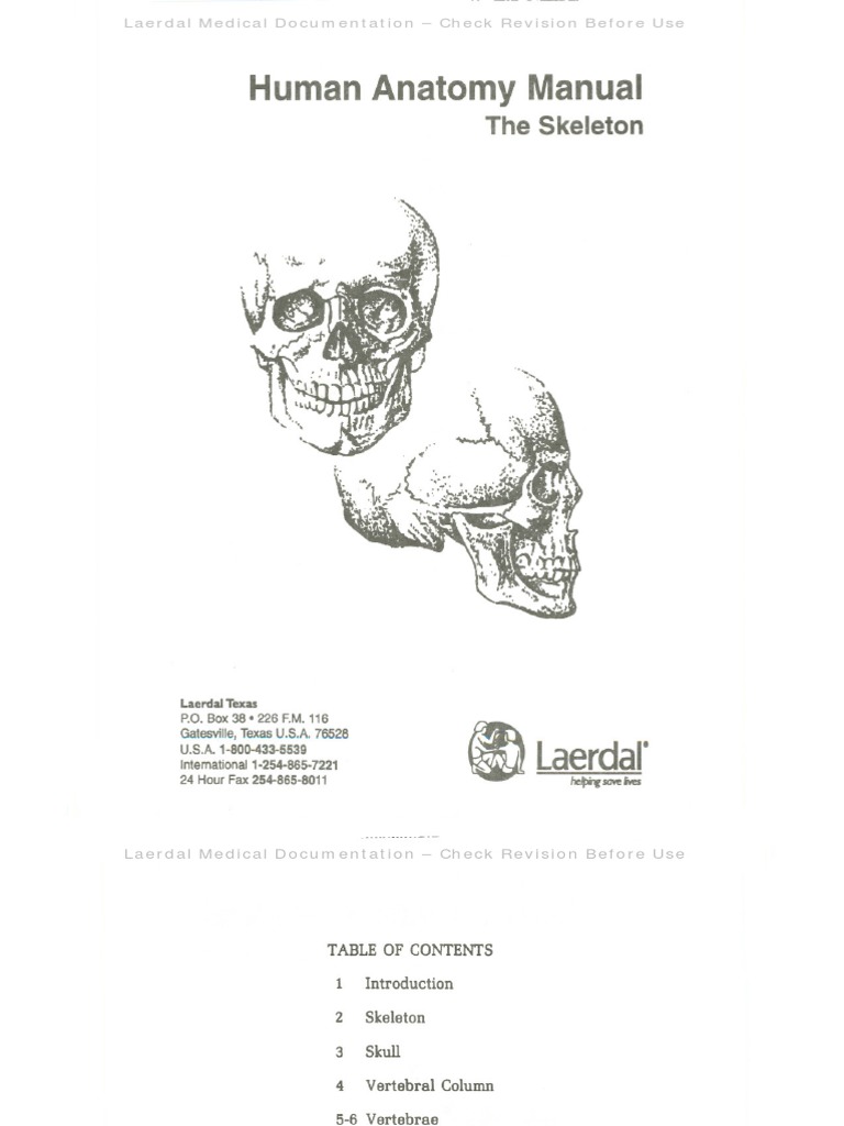 Human Anatomy Manual The Skeleton PDF | PDF | Vertebra | Skull