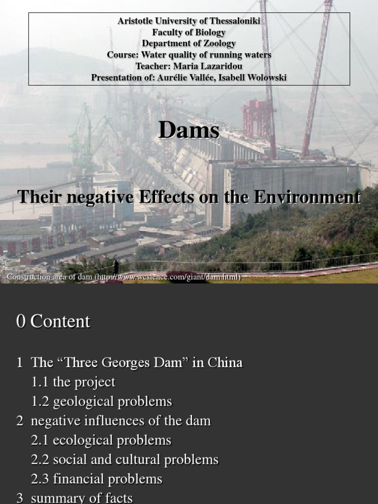 Disadvantages of Dams on Environment | PDF | Dam | Natural Environment