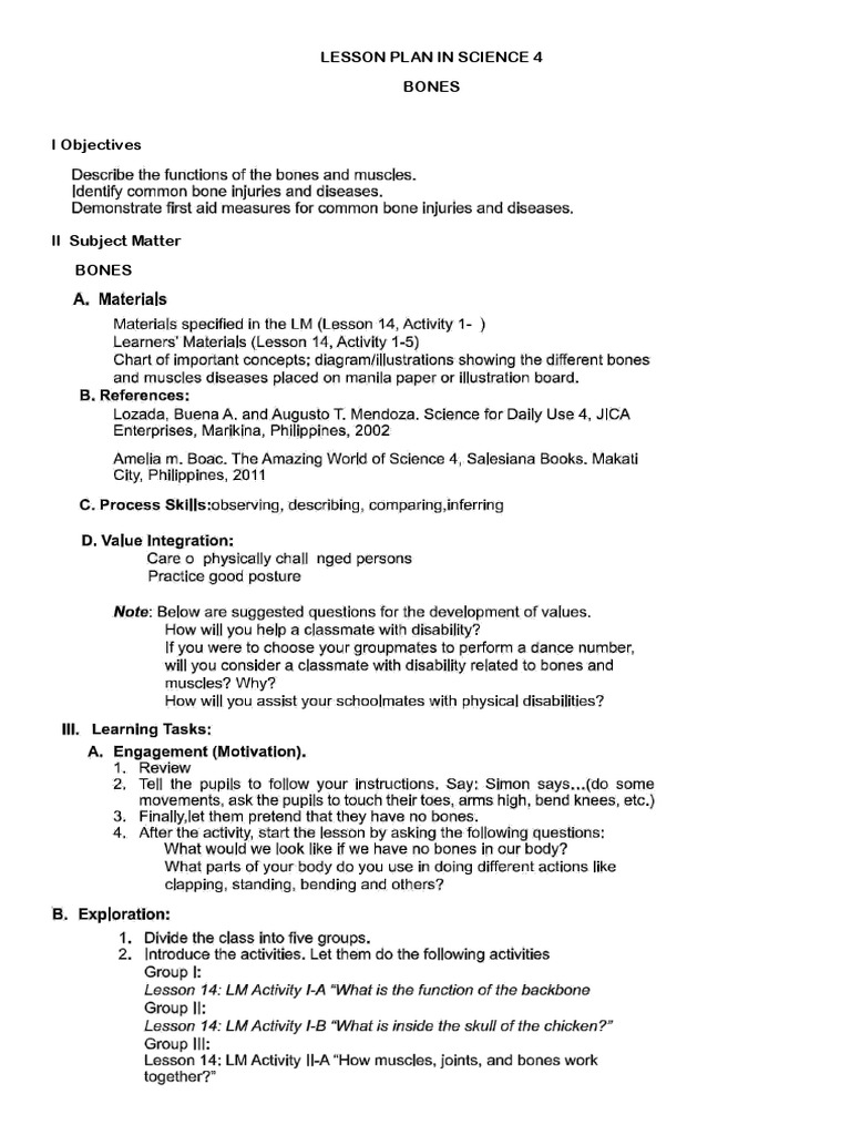 Bones Lesson Plan for Grade 4 | PDF