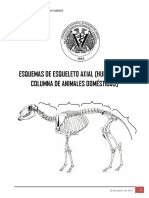 El Timo Animal | PDF