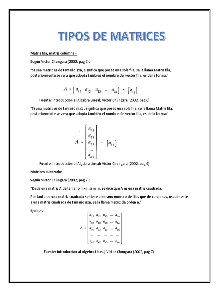 Teoria de Matrices | PDF | Matriz (Matemáticas) | Física teórica