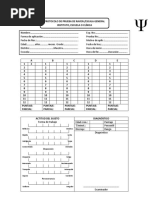 Protocolo de Prueba Raven: Formato y Diagnóstico | PDF