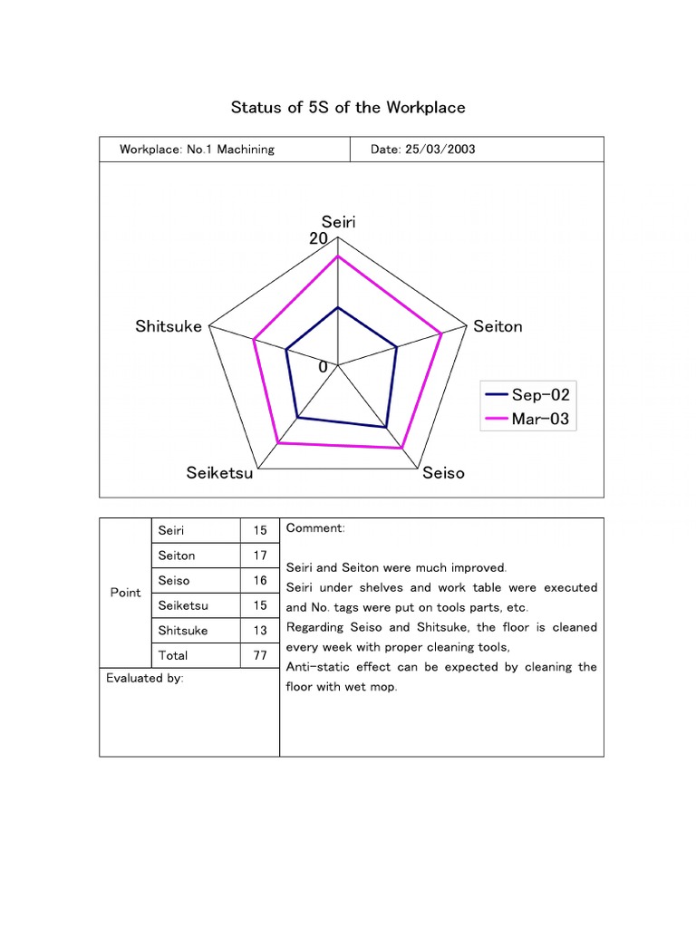 Status of 5S of The Workplace | PDF
