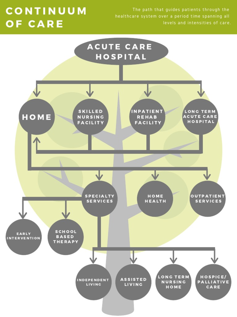 Continuum of Care | PDF